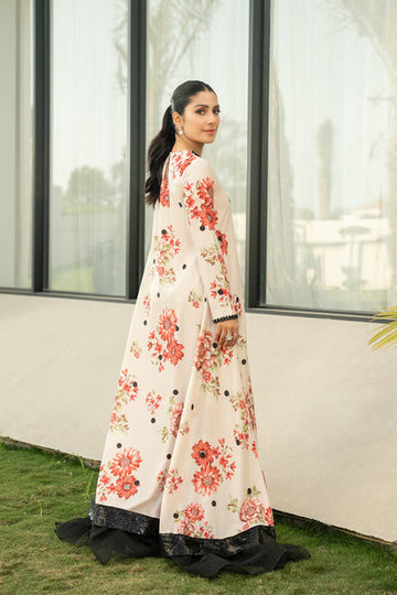 Winter Collection – femalestudio